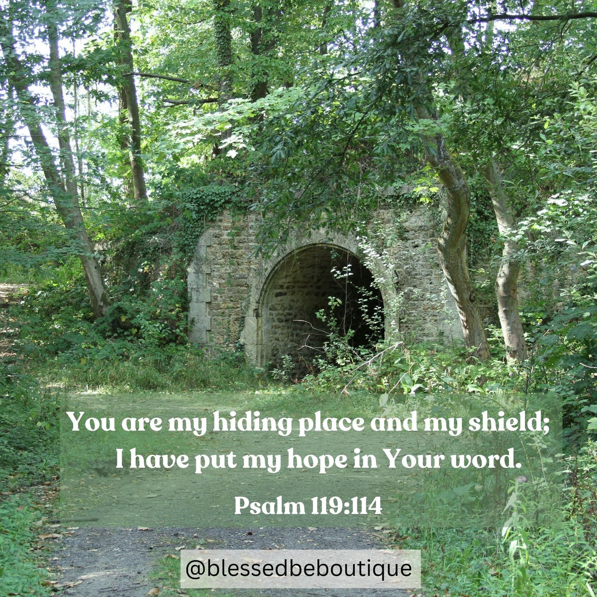 Hiding Place and Shield – Blessed Be Boutique