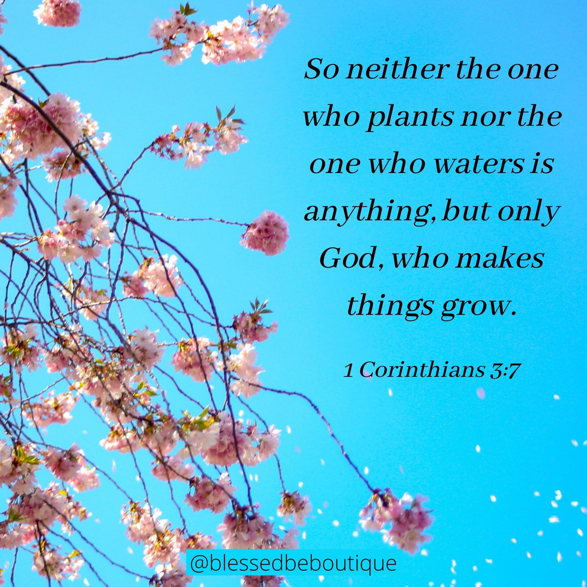 The One Who Plants – Blessed Be Boutique