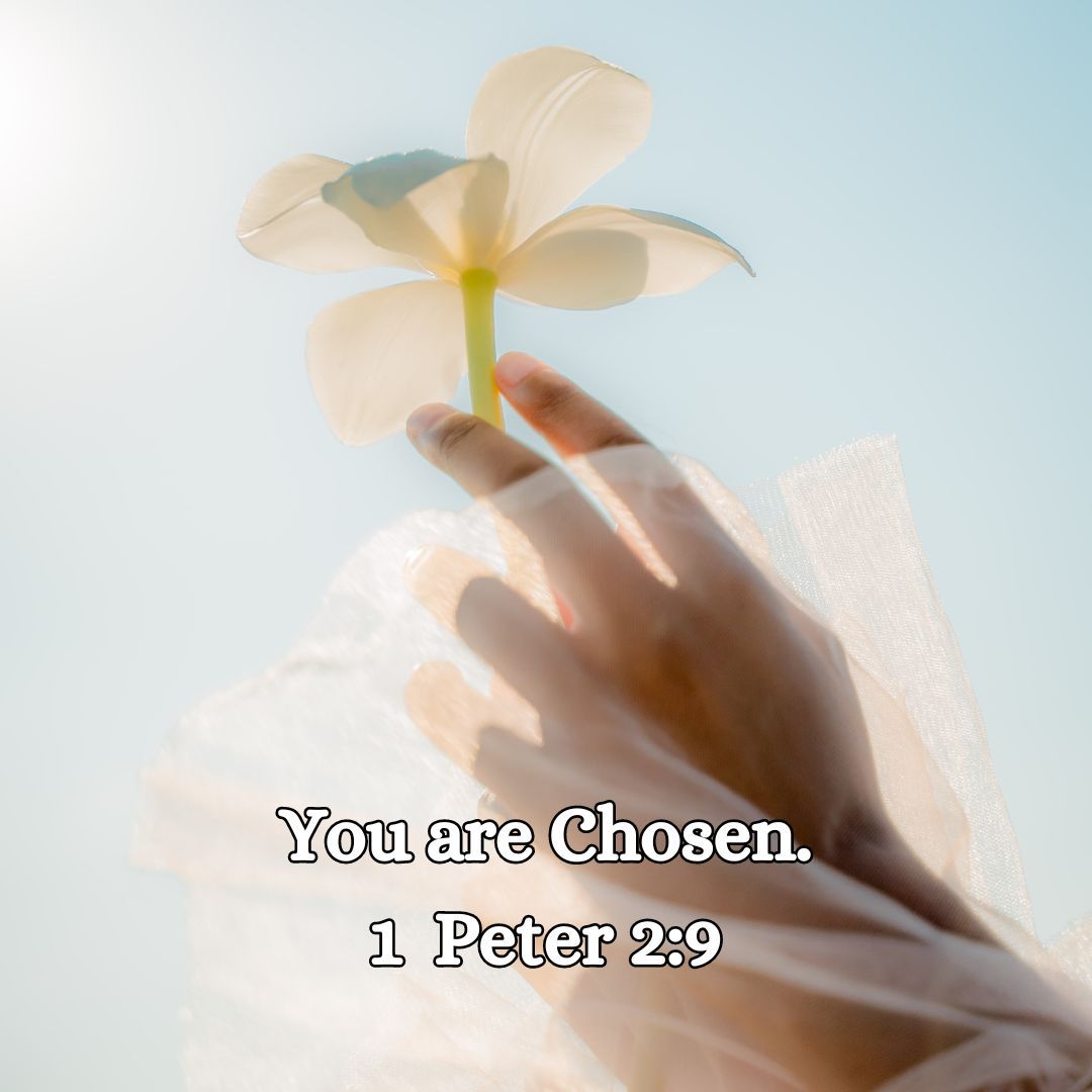 You Are Chosen – Blessed Be Boutique