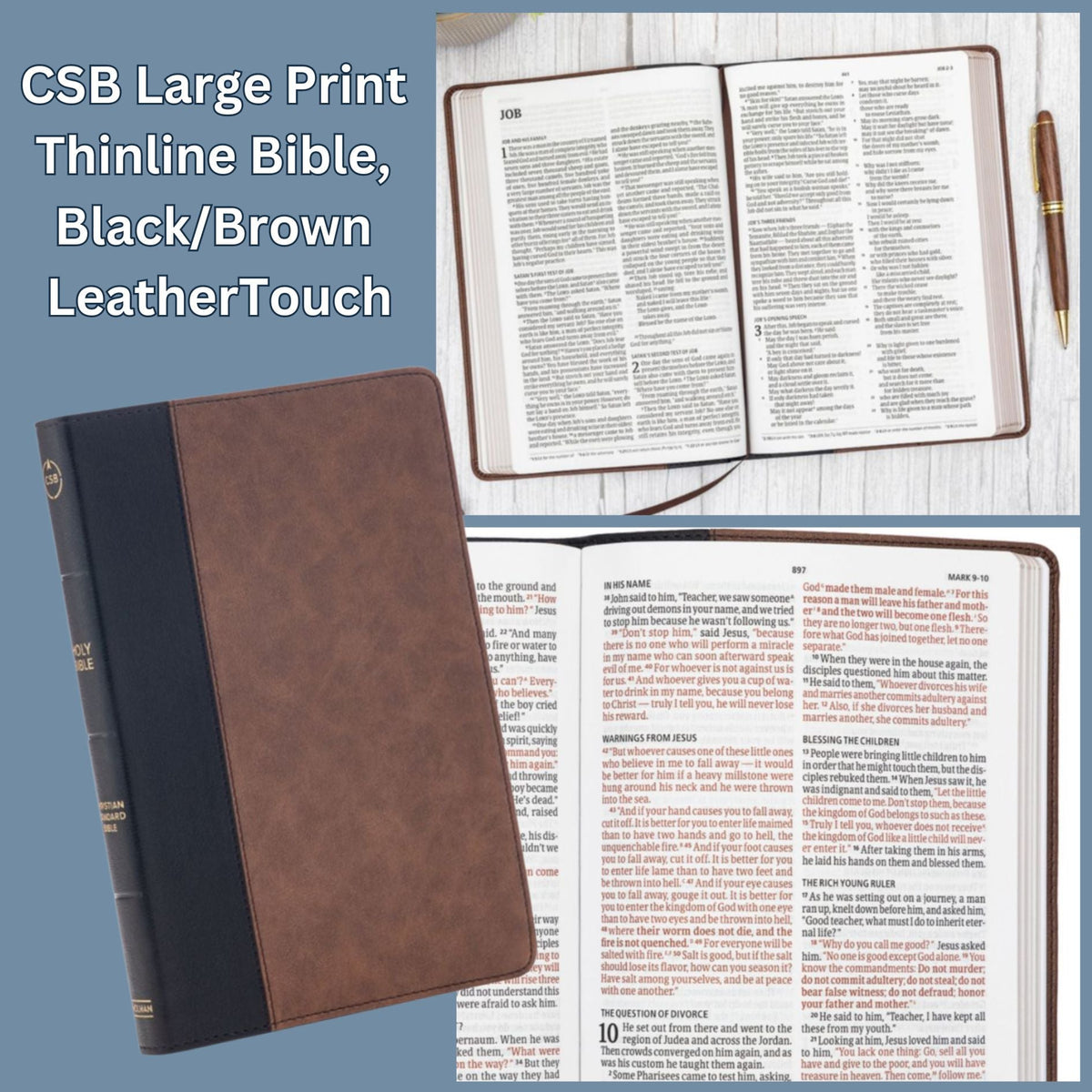 Bibles - Wide Assortment - Various Translations and Sizes – Blessed Be ...