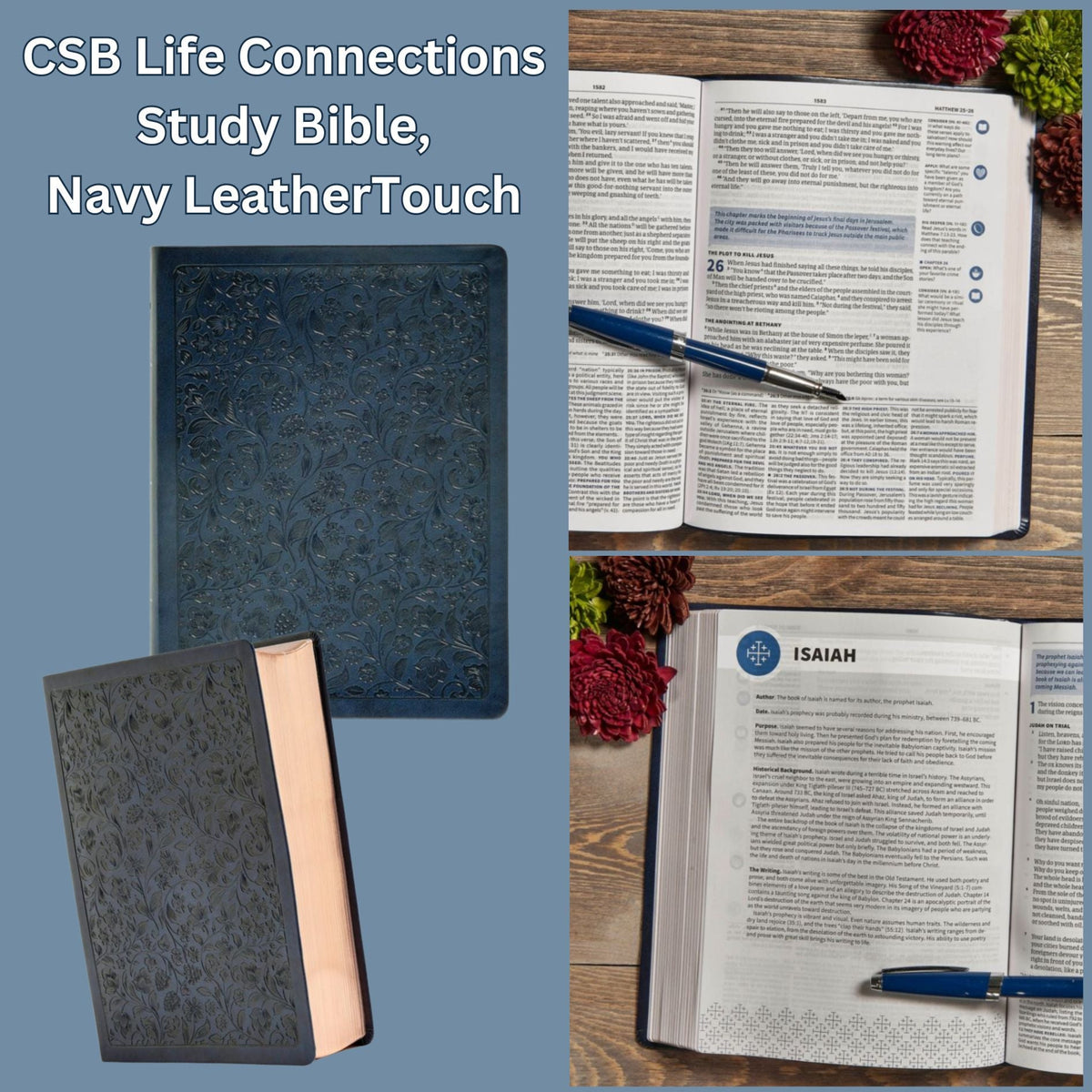 Bibles - Wide Assortment - Various Translations and Sizes – Blessed Be ...